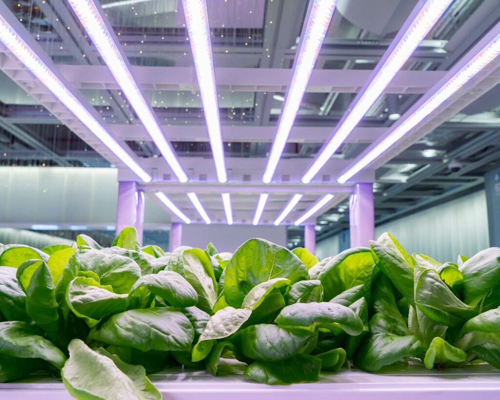 Agricultural – Tsong Led Lights